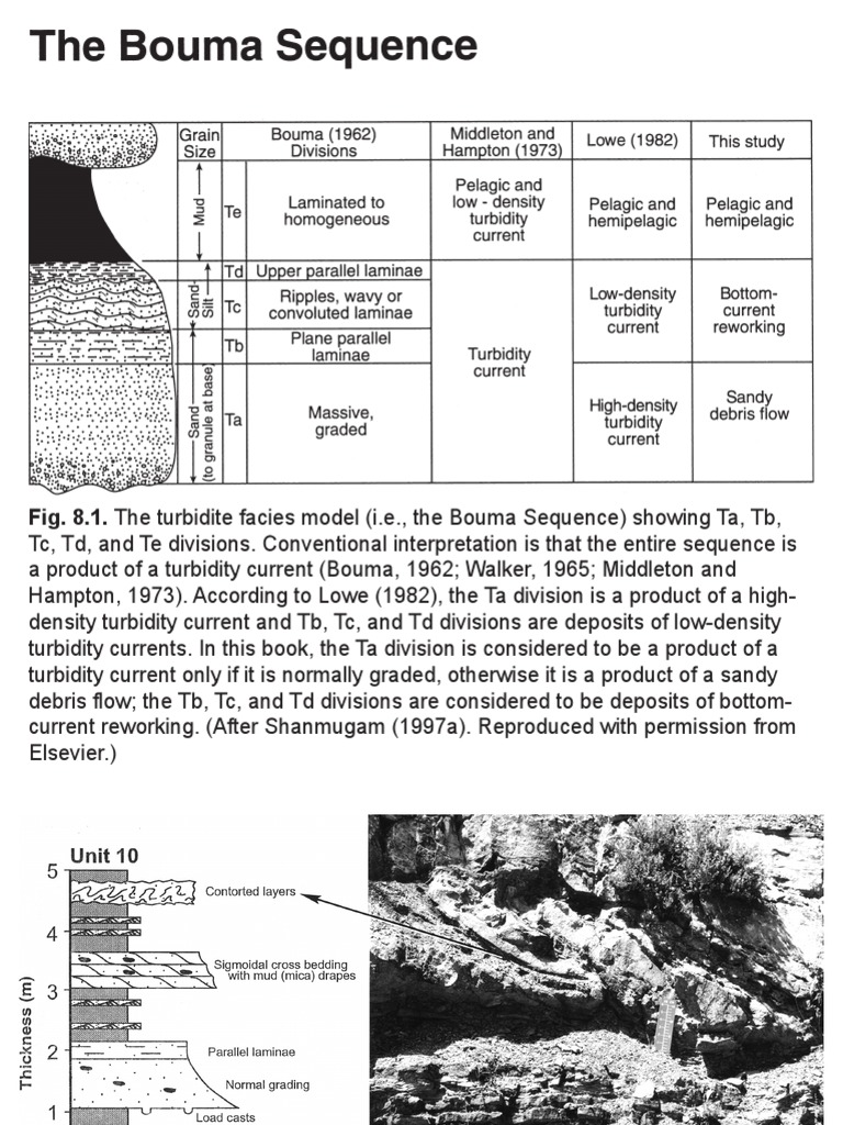 The Bouma Sequence | PDF | Clastic Rock | Petrology