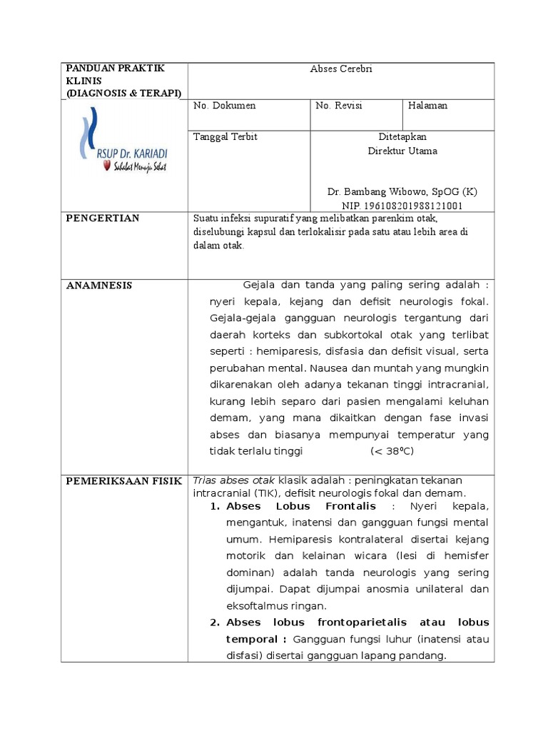 PPK Abses Serebri | PDF