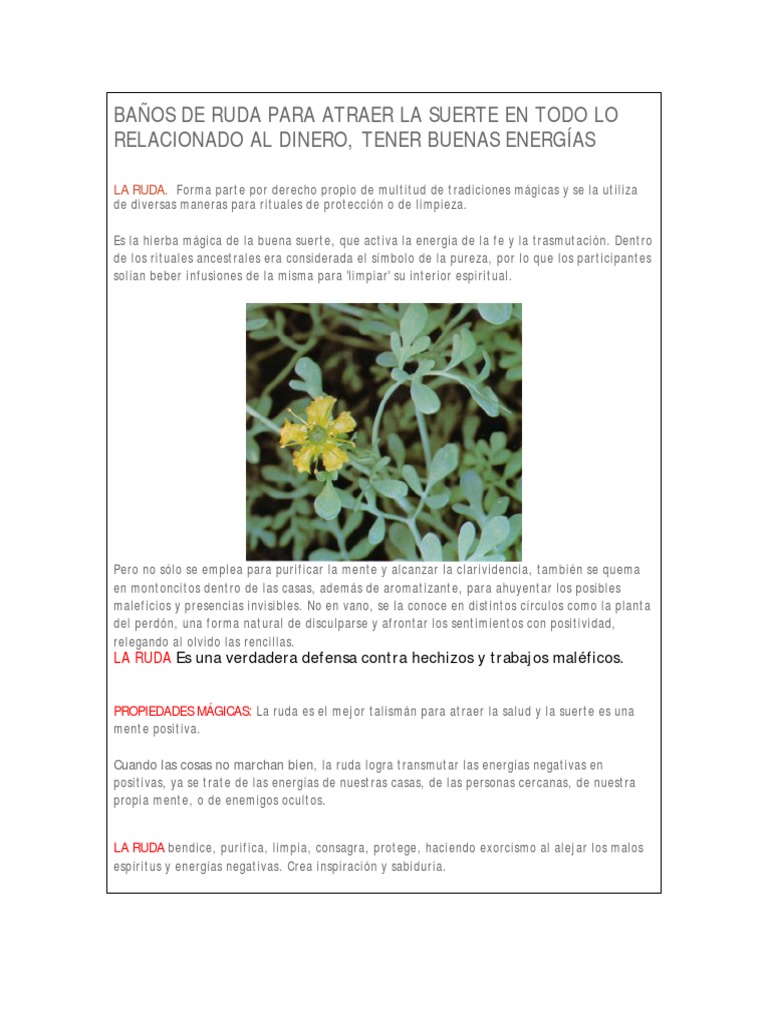 Baños de Ruda para Atraer Suerte y Dinero | PDF | Rituales | Romero