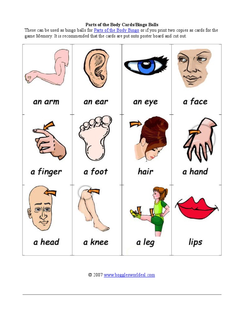 Parts of Body Cards | PDF