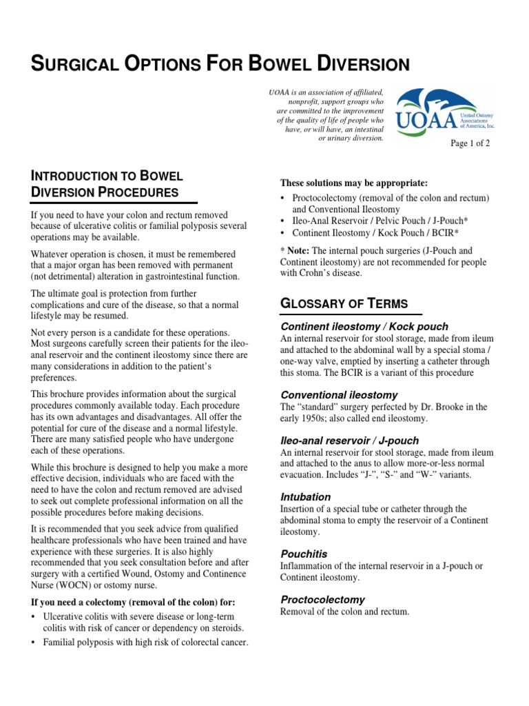 Navigating Surgical Options: A Guide to Bowel Diversion Procedures for ...