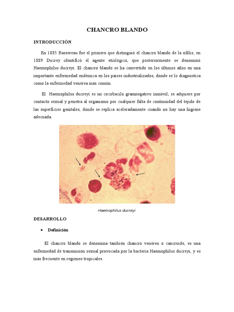 Chancro Blando: Causas y Tratamiento | PDF | Infección transmitida ...