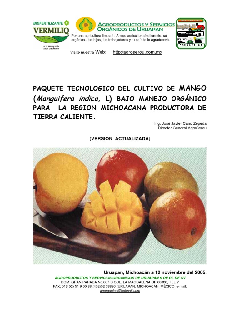Cultivo Orgánico de Mango en Michoacán | PDF | Agricultura | Fertilizante