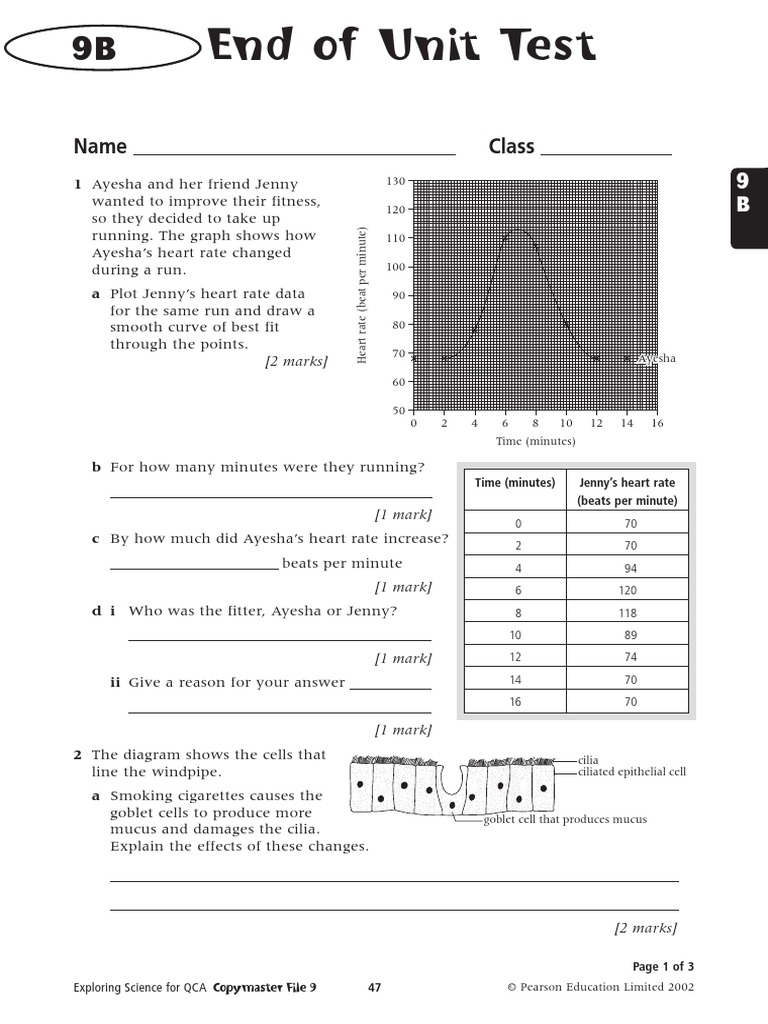 End of Unit Test: Name Class | Recreational Drug Use | Wellness
