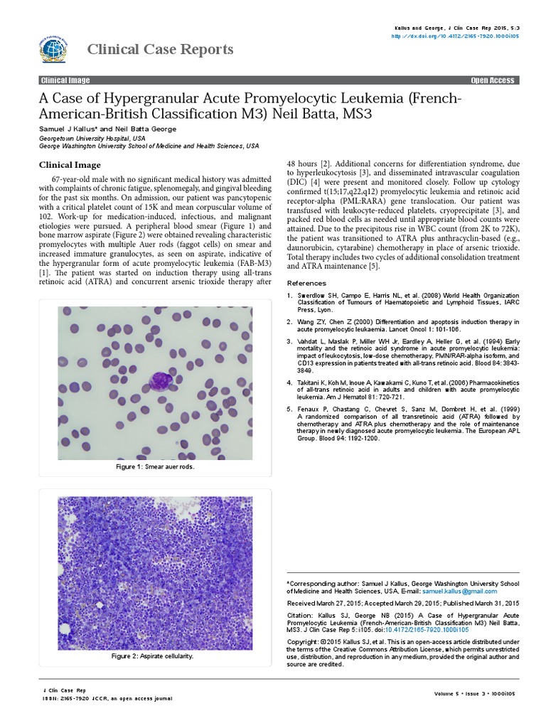 A Case of Hypergranular Acute Promyelocytic Leukemia ...