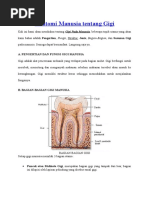 Jenis dan Fungsi Gigi Manusia | PDF