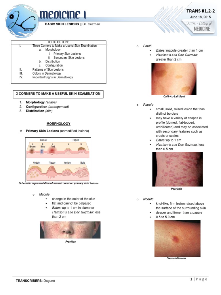 Basic Skin Lesions | PDF | Cutaneous Conditions | Psoriasis