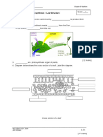 Lab Report - Phloem & Xylem | PDF | Plant Stem | Tissue (Biology)