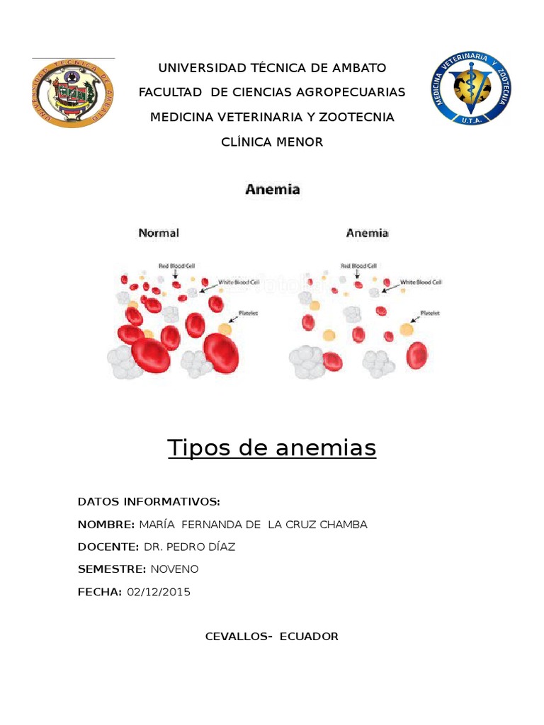Tipos de Anemias | PDF | Sangre | Glóbulo rojo