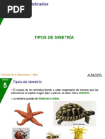 Diferencia Entre Simetria Radial y Bilateral | PDF | Simetría | Organismos