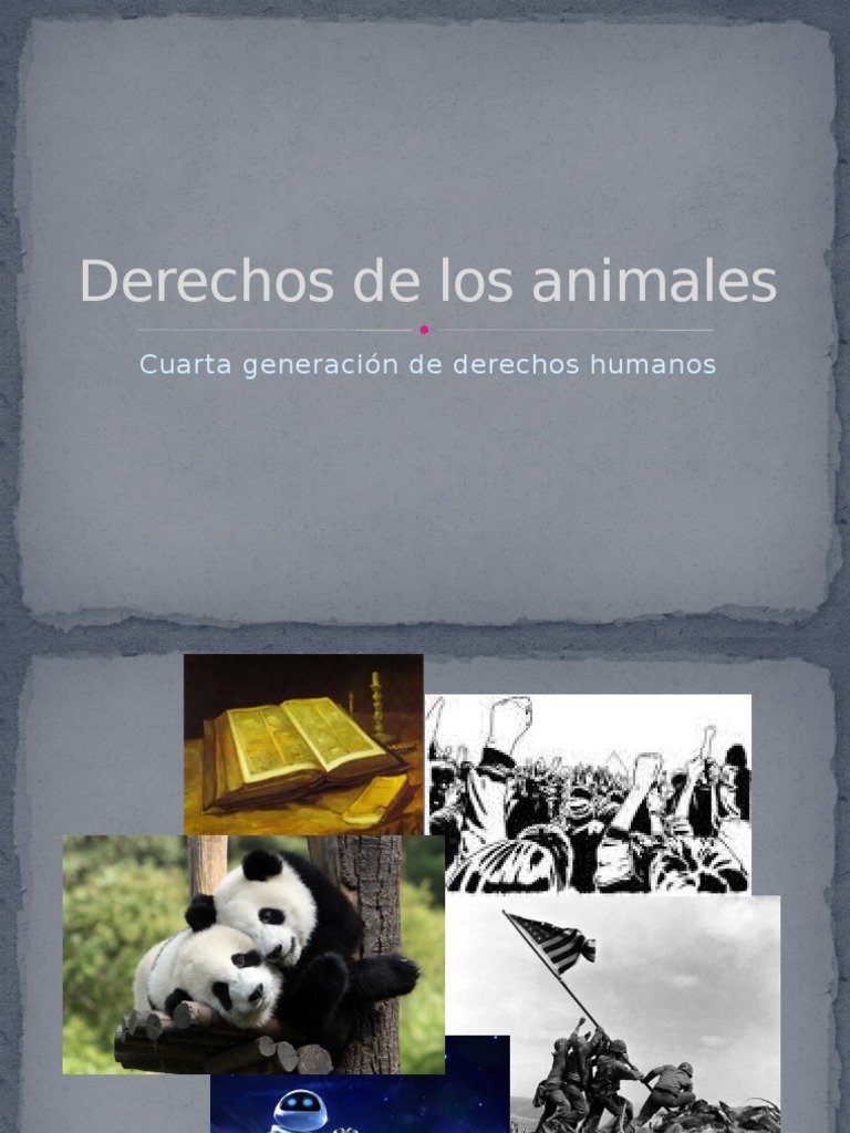 Derechos de Los Animales | PDF | Derechos animales | Crueldad hacia los ...
