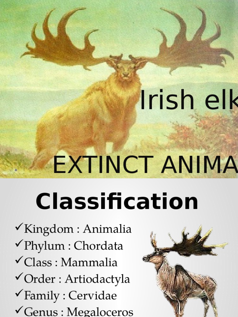 Irish Elk: Extinction Causes and Facts | PDF