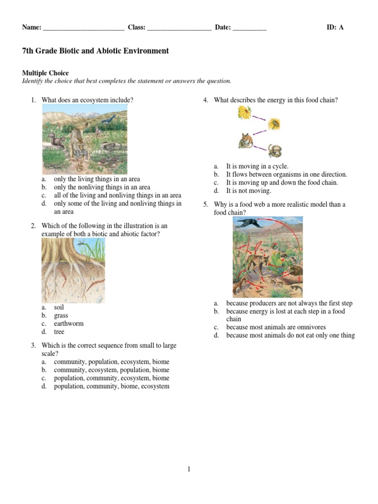 Biotic and Abiotic Ecosystem Quiz | PDF | Ecosystem | Natural Environment