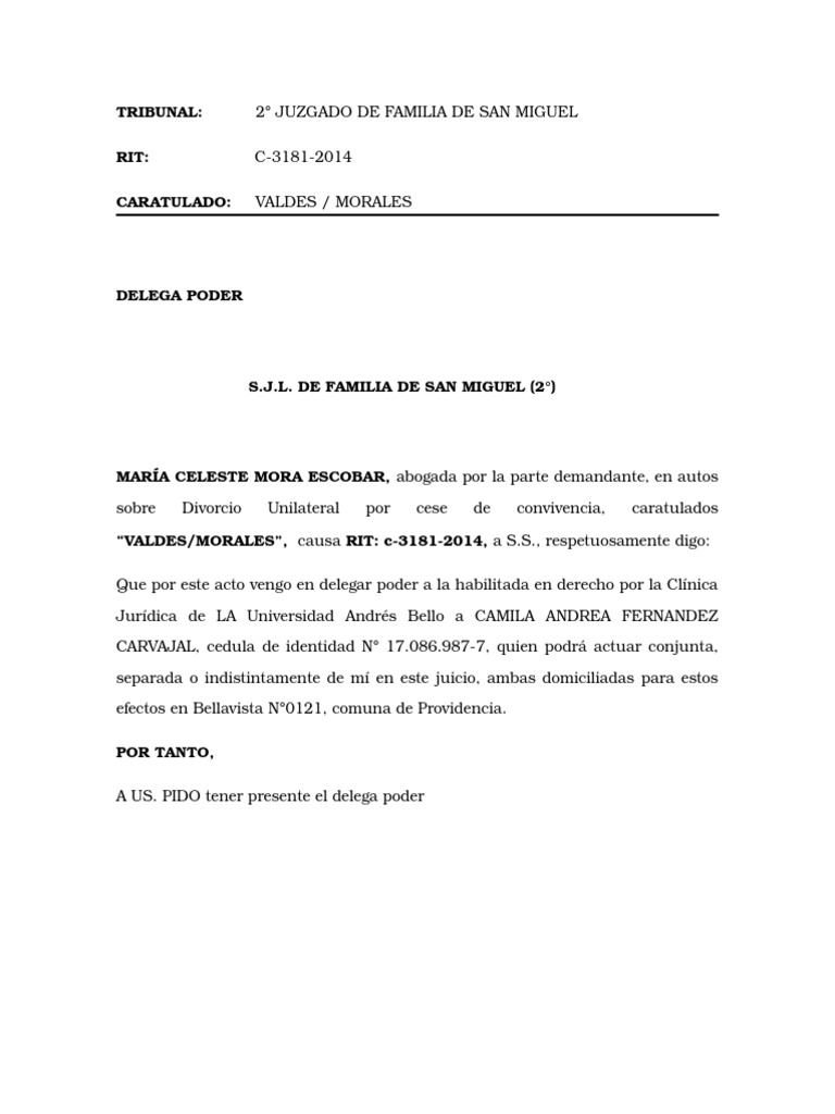 Delega Poder | PDF