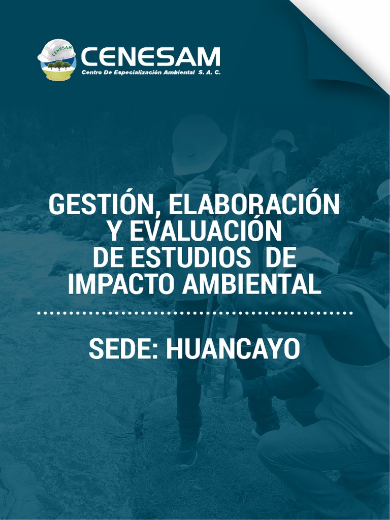 Diplomado Eia | PDF | Minería | Evaluación de impacto ambiental