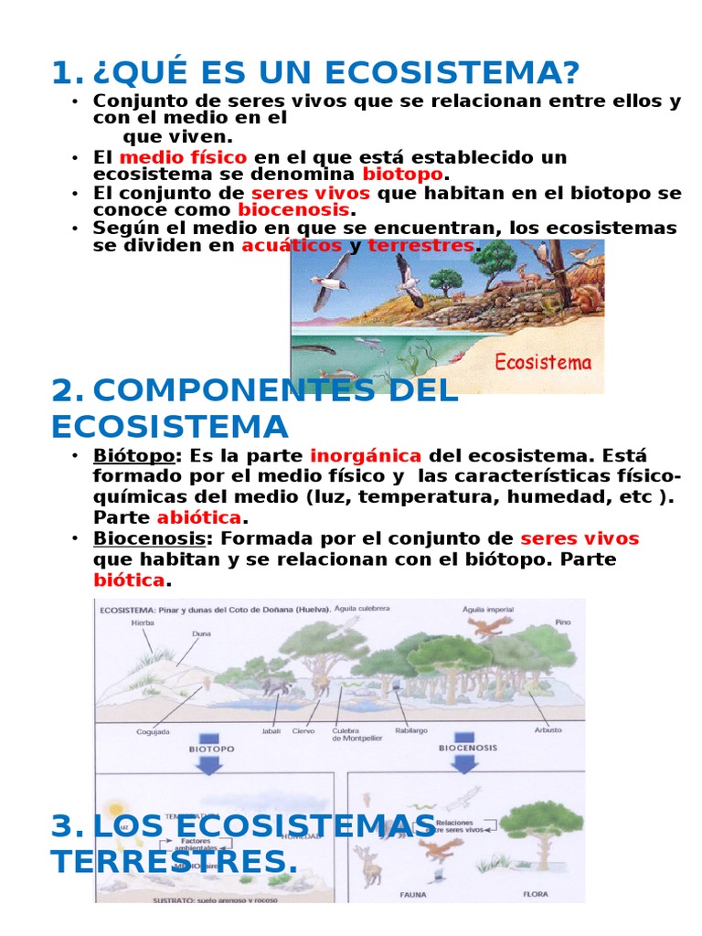 Los Ecosistemas Terrestres | PDF
