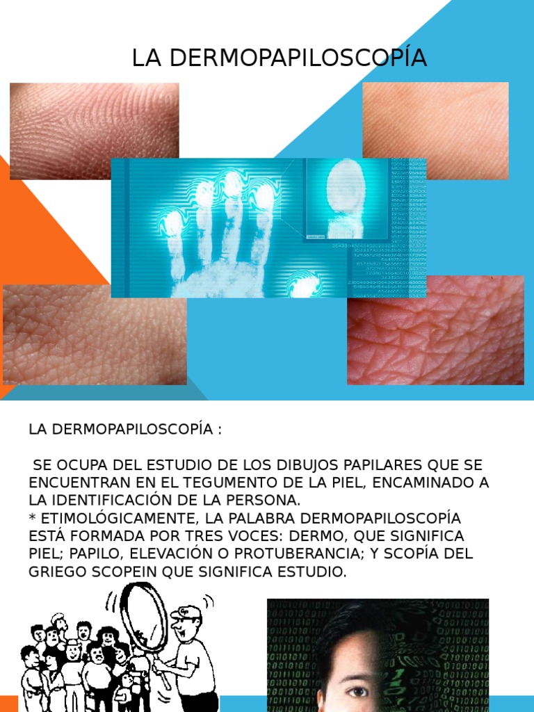 La Dermopapiloscopía | Huella dactilar | Mano