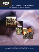 Basic Horse Training | PDF | Equidae | Horses