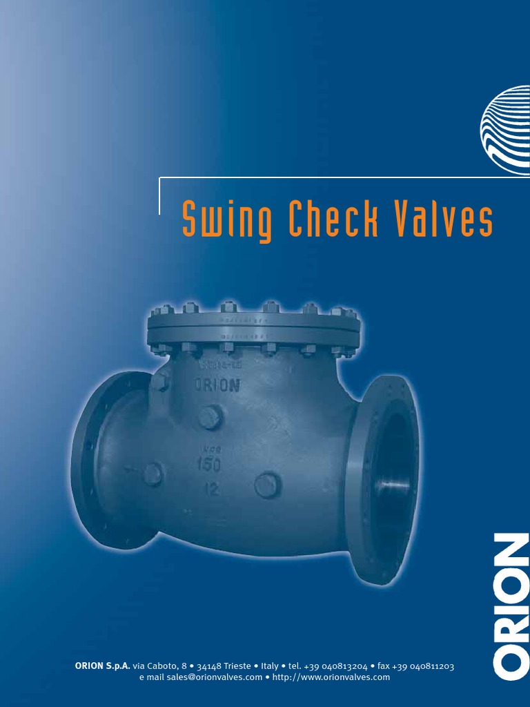 Swing Check Valves | PDF