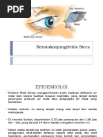 Anatomi Humor Akuous | PDF