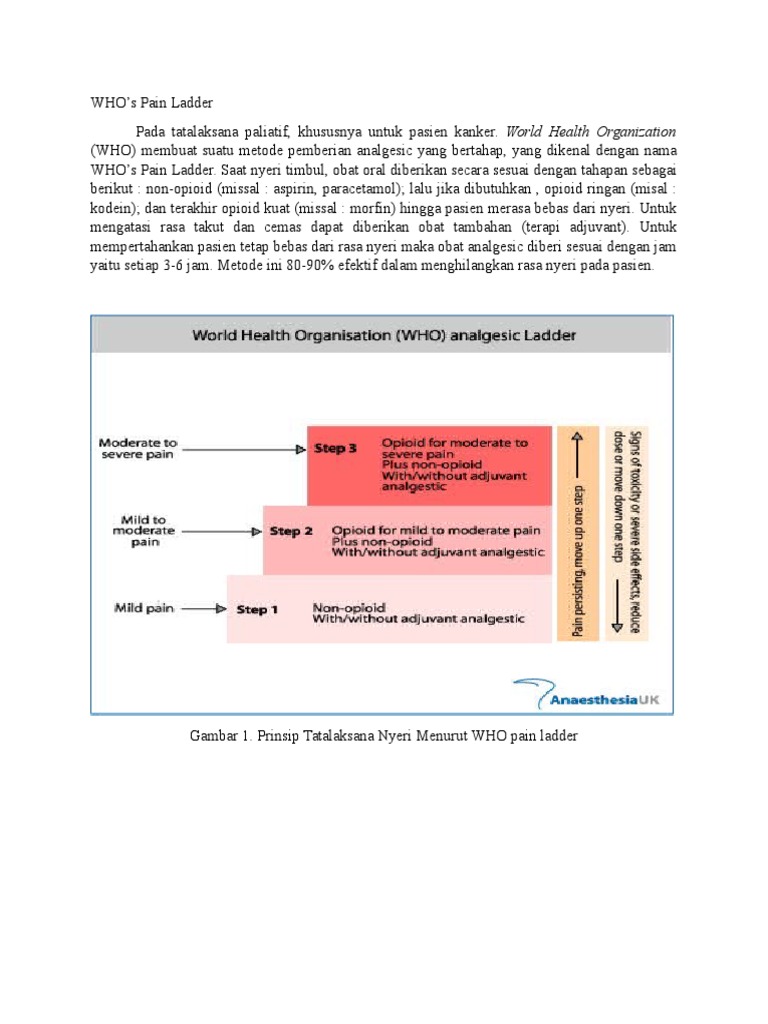 Pain Ladder Dan Penilaian Nyeri | PDF | Kesehatan Holistik
