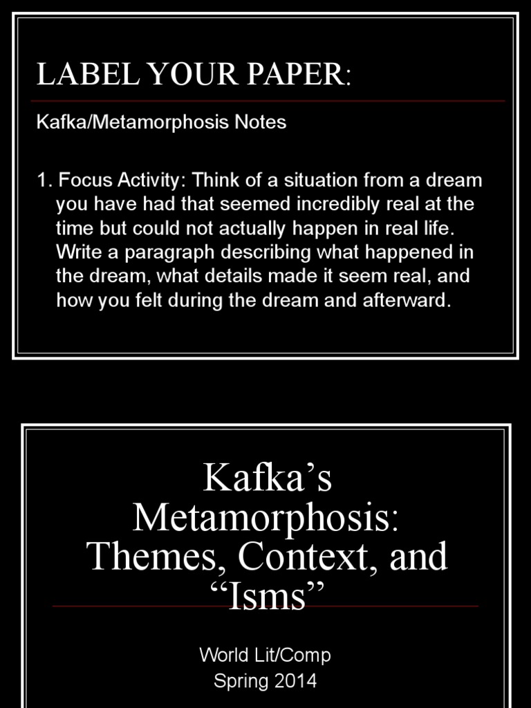 Kafka's Metamorphosis Study Guide | PDF | Franz Kafka | The Metamorphosis