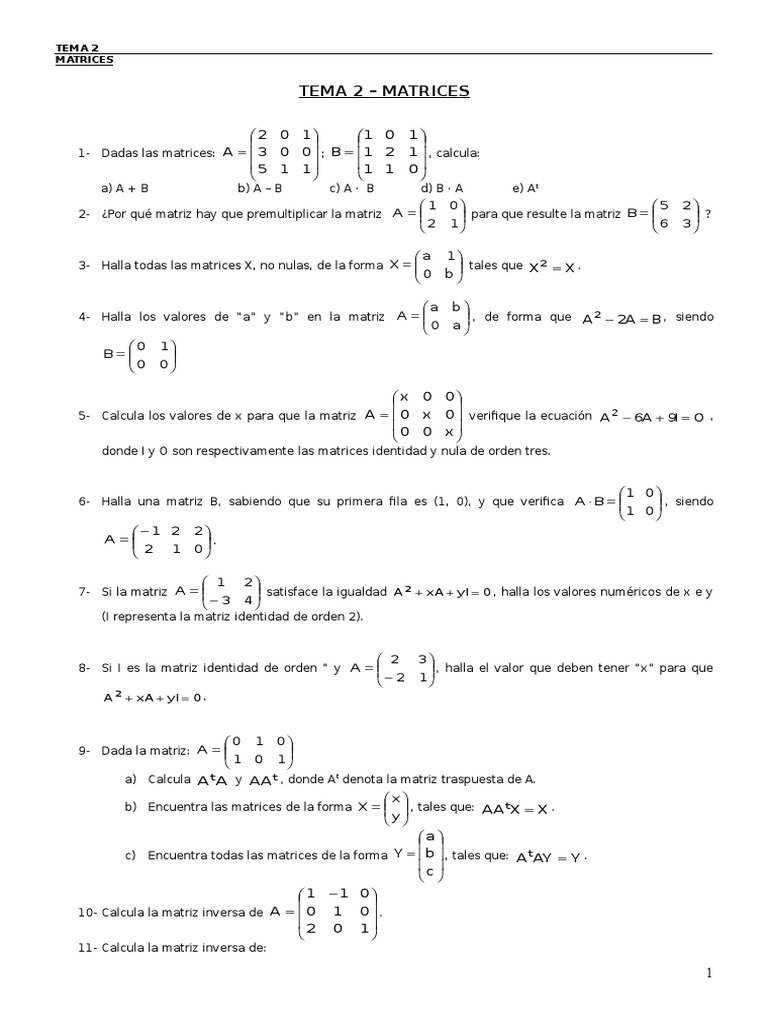 Tema 2 - Matrices | PDF | Matriz (Matemáticas) | Álgebra lineal