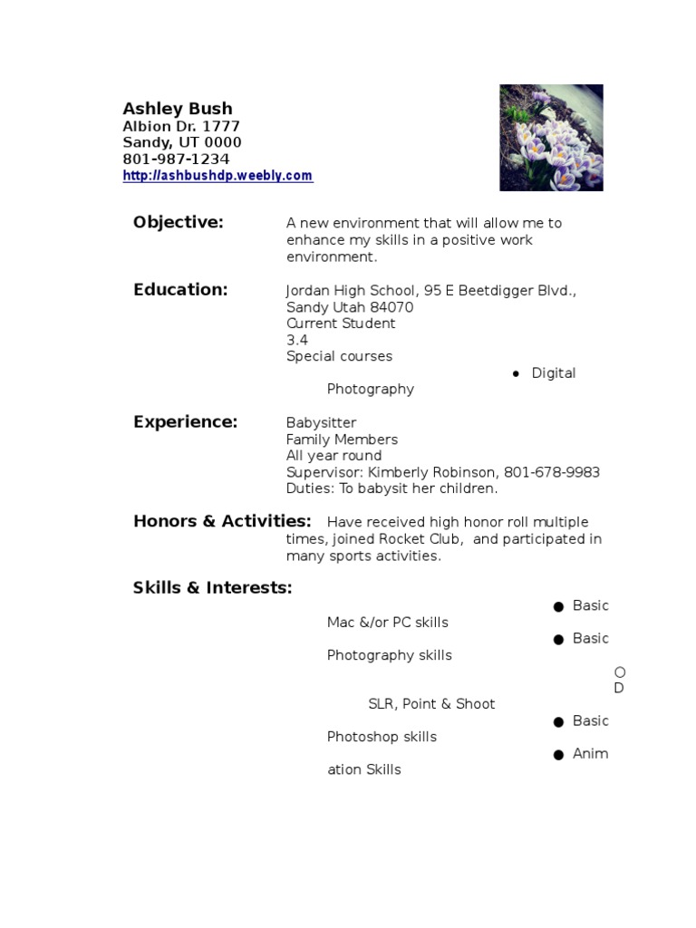 Ashley Bush's Resume and Skills Overview | PDF | Career & Growth ...