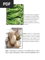 Grade 2 Filipino Worksheet | PDF