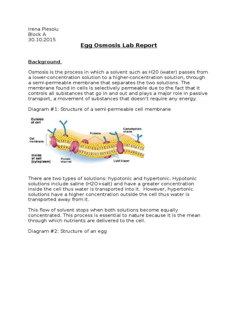 Egg Osmosis Lab | PDF | Osmosis | Chemistry