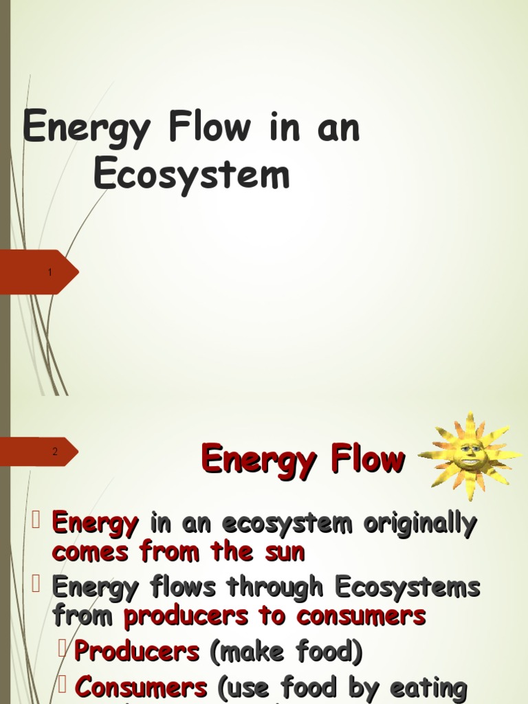 01 Food Energy Through Ecosystems | PDF | Food Web | Photosynthesis