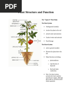 Lesson Plan For Reproduction in Plants | PDF | Pollination | Flowers