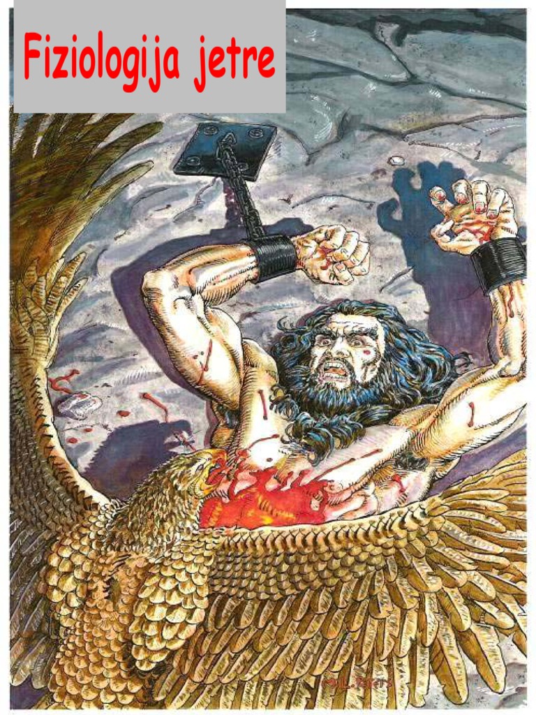 Fiziologija Jetre | PDF