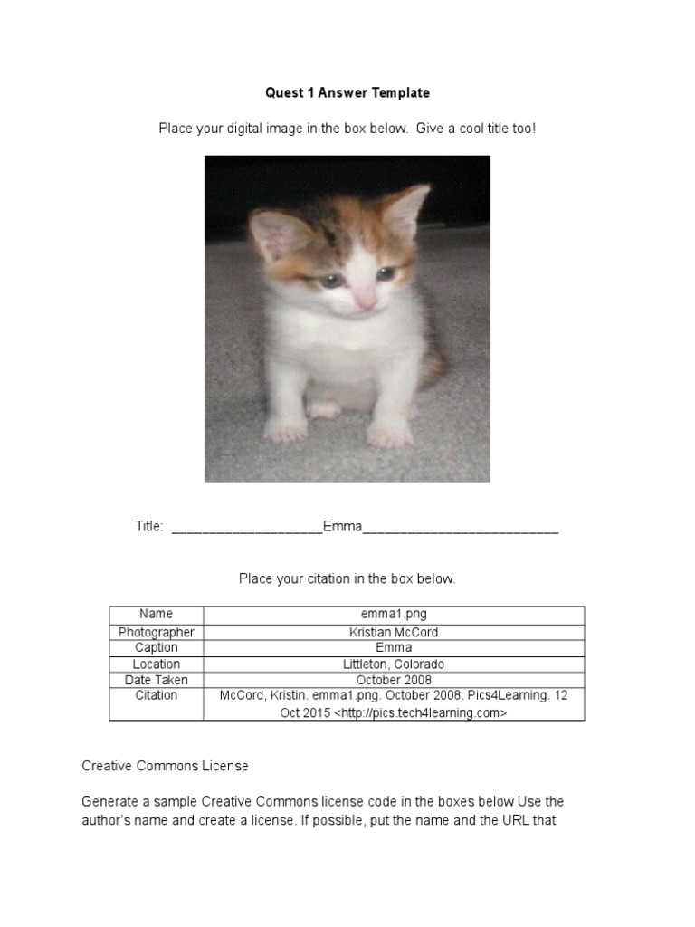 Kitten | PDF