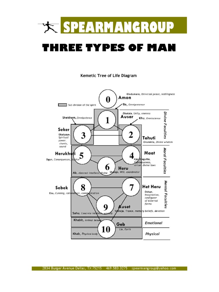 The Three Types of Man | PDF | Consciousness | Mind