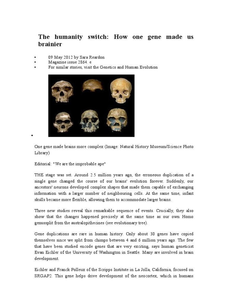 The Humanity Switch | PDF | Human | Gene