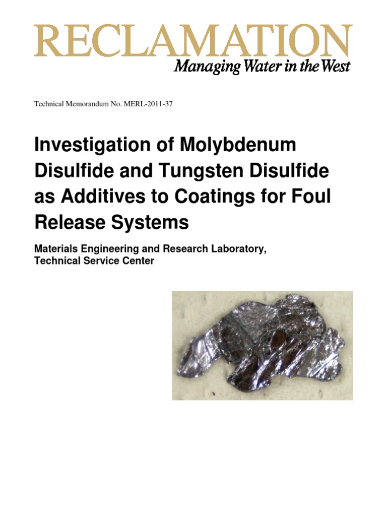 Investigation of Molybdenum Disulfide and Tungsten Disulfide As ...
