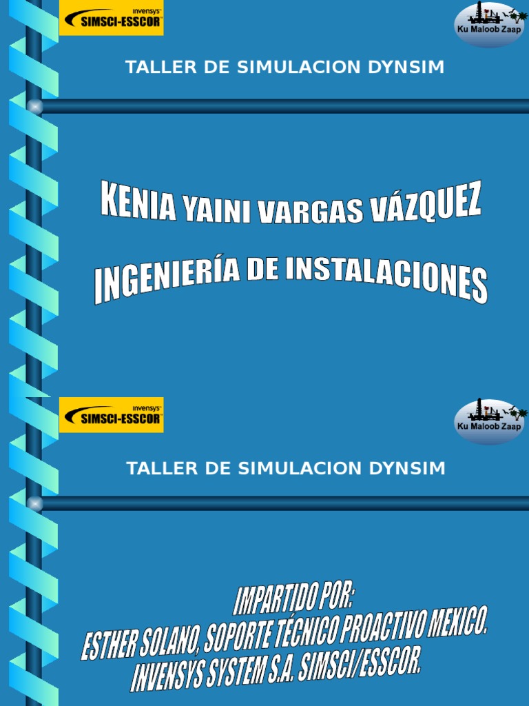 DYNSIM | PDF | Windows XP | Simulación