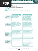 Video Recap of Codon Chart Video Companion by Amoeba Sisters | PDF ...