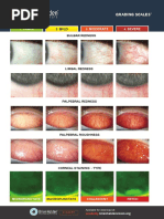 CCLRU Grading | PDF | Social Science