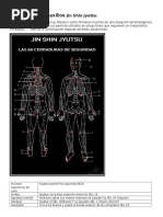 JIN SHIN JYUTSU Apertura 26 Cierres de Seguridad | PDF | Violencia | Agitación