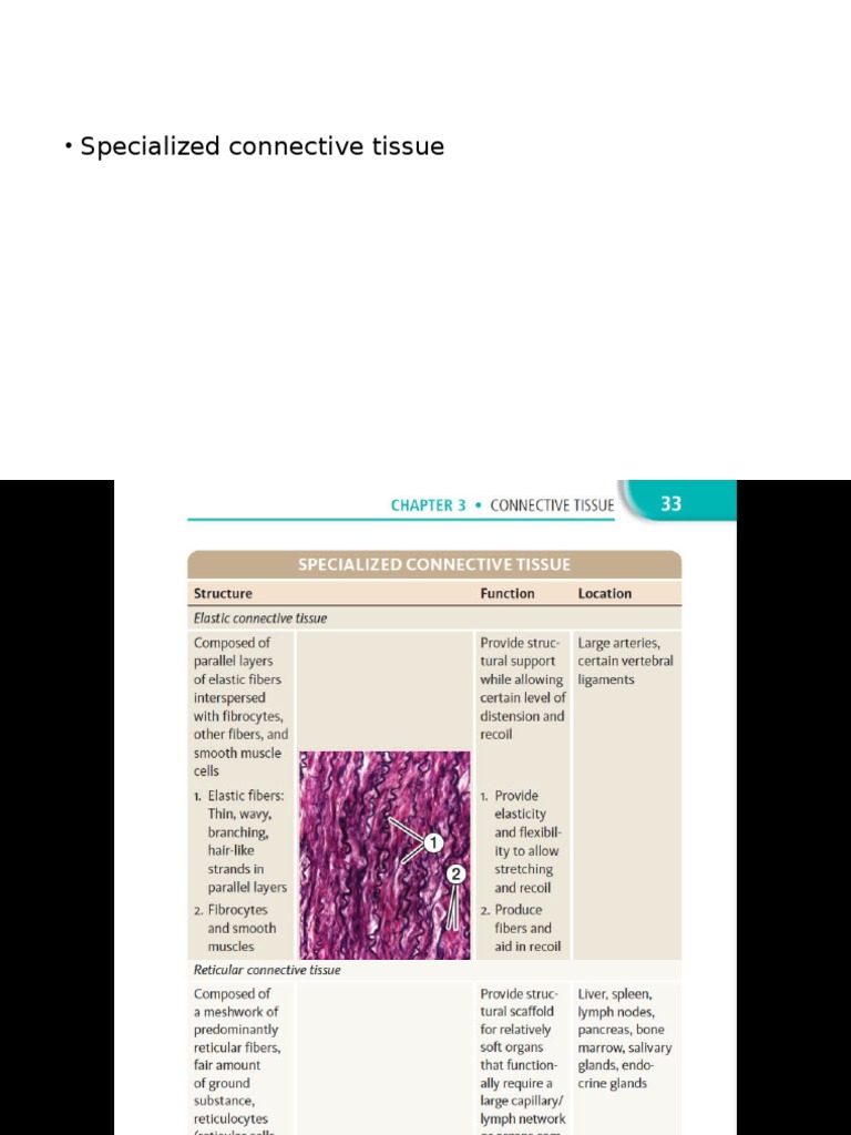 Specialized Connective Tissue | PDF
