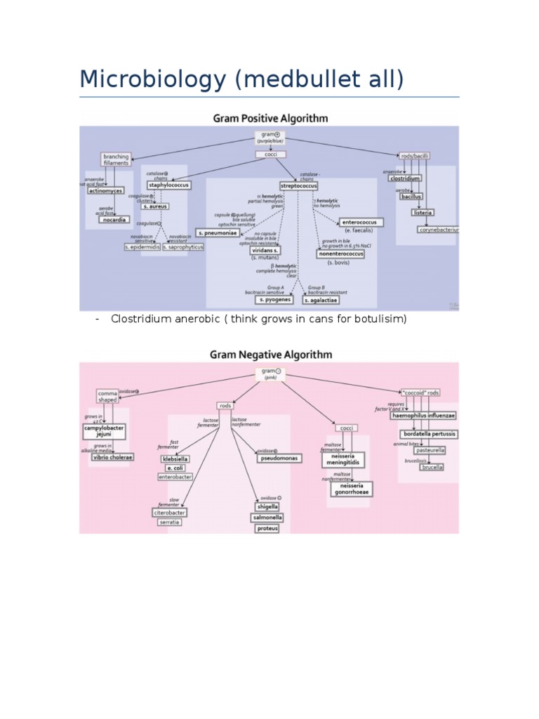 Microbiology USMLE Review | PDF