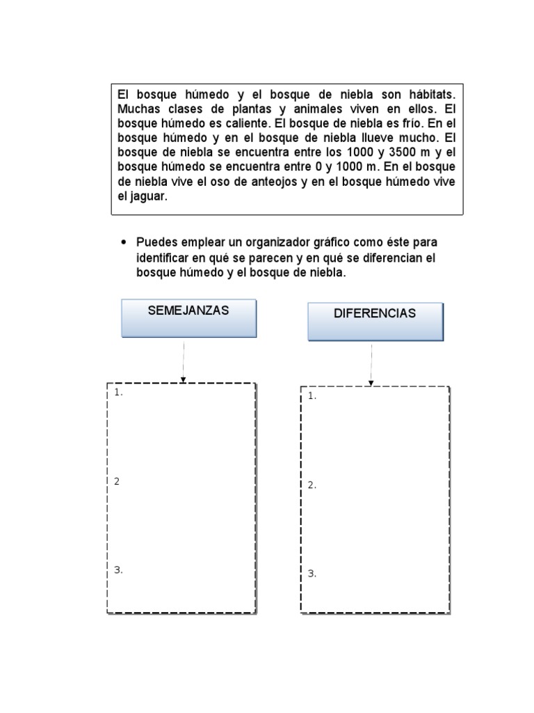 Organizador Grafico Comprensión Lectora | PDF | Ciencia y matemáticas