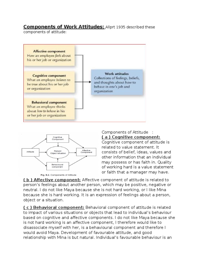 Components of Work Attitudes | PDF | Attitude (Psychology) | Affect ...