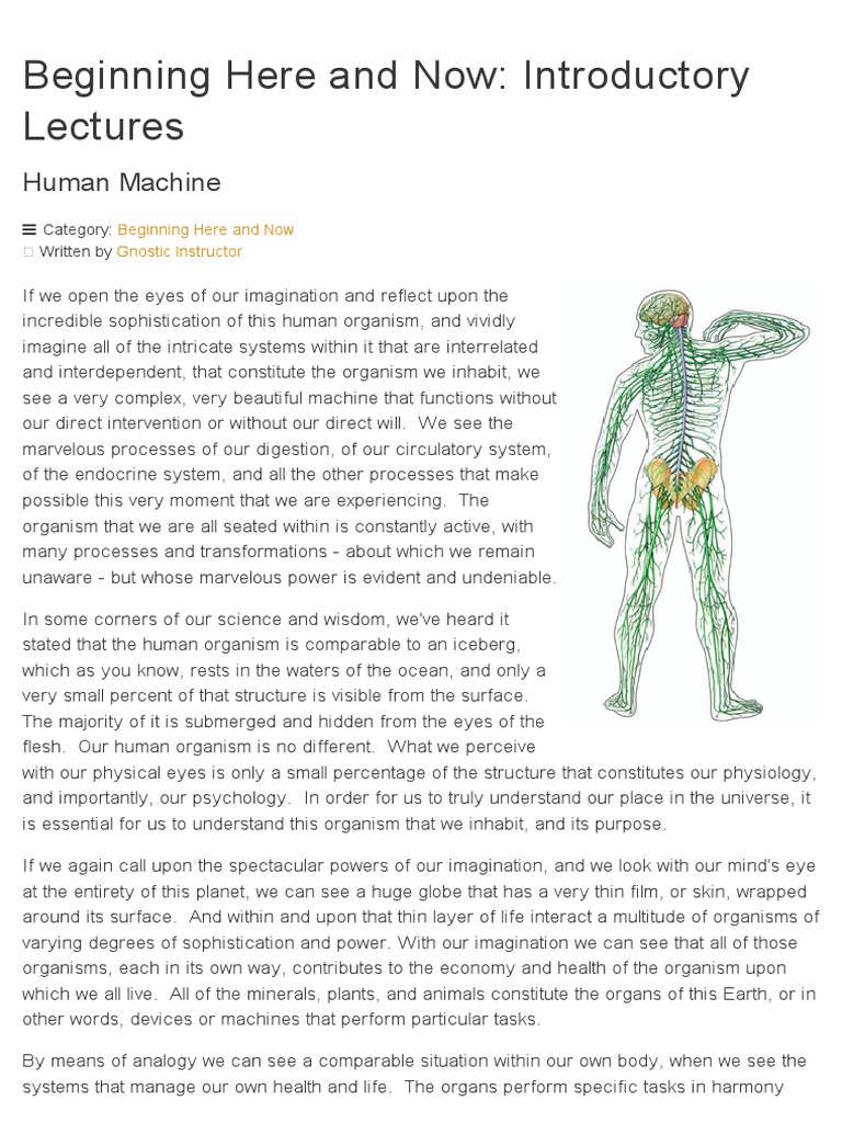 The Human Machine | PDF | Thought | Consciousness