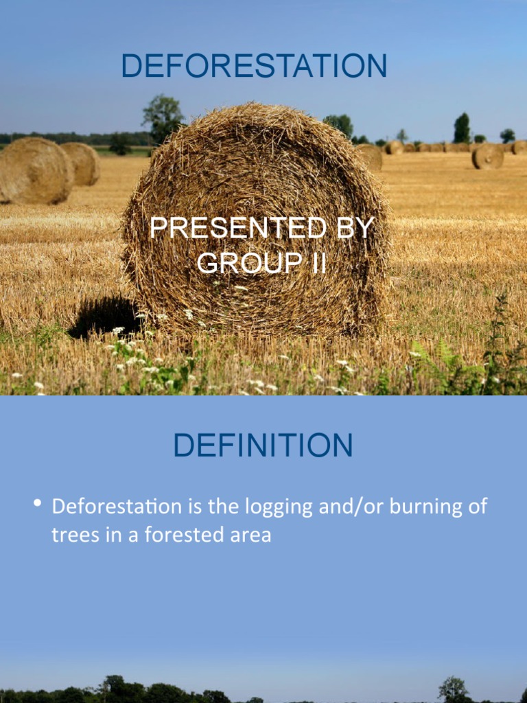 Deforestation: Presented by Group Ii | PDF | Deforestation | Forests
