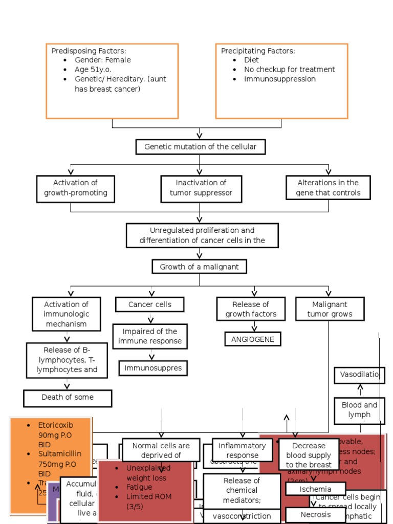 Breast Cancer Symptoms and Factors | PDF | Neoplasms | Cancer