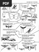 Tree Identification Cards | PDF | Flora | Trees
