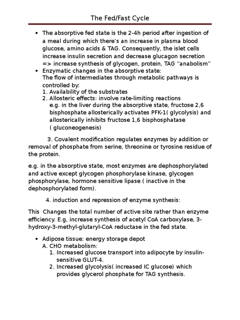 Fed Fast Cycle | PDF | Glycolysis | Glycogen